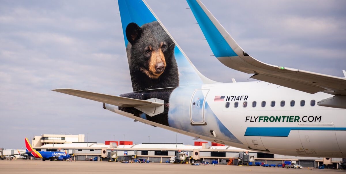 Feathers and Fur: A Guide to Frontier’s Animal Tails - Blue Sky News