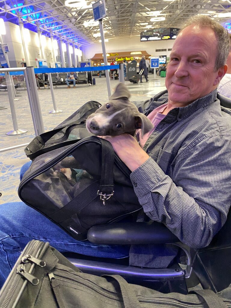 Photos of the Week: Pups on Planes - Blue Sky News