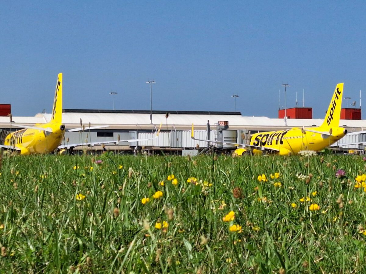 Photo of the Week: Spirit in the Sunshine - Blue Sky News